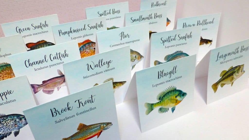 31 Amazing Fish Wedding Centerpieces for Your Underwater Theme